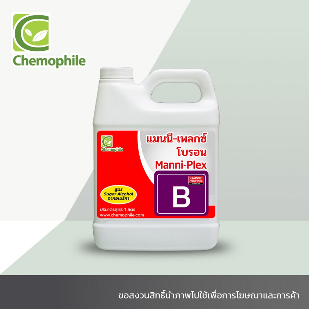 แมนนี-เพลกซ์ โบรอน (B)